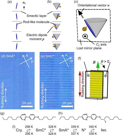 Room-temperature magnetoelectric effect in a chiral smectic liquid ...