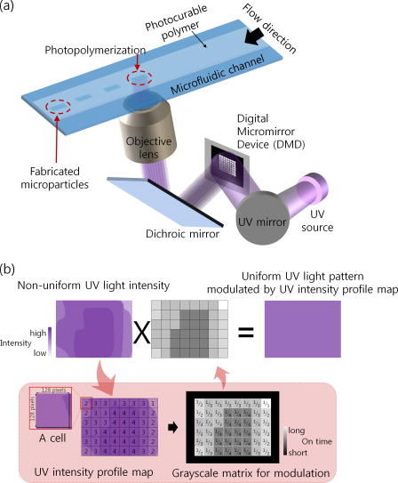 Modulated grayscale UV pattern for uniform photopolymerization based on ...
