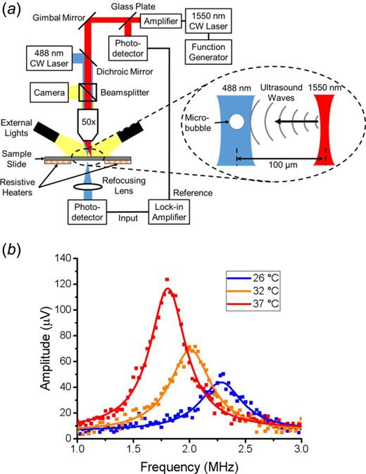 Photoacoustic technique to measure temperature effects on microbubble ...