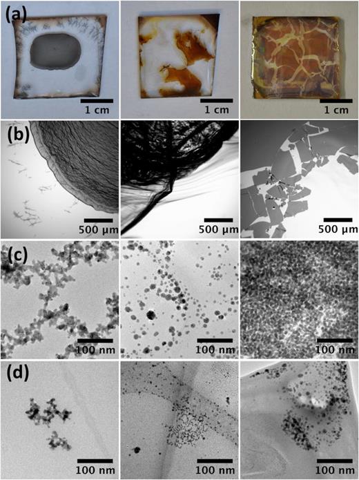 Effects of surface tension and viscosity on gold and silver sputtered ...