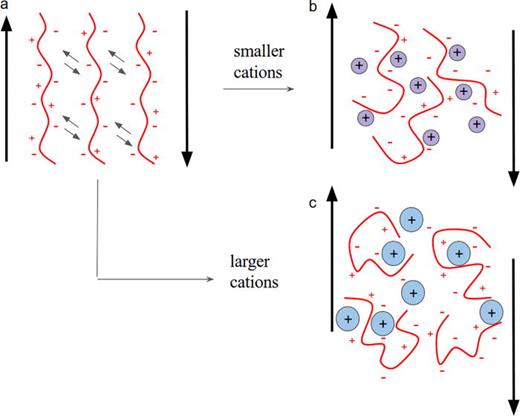 Salt type and concentration affect the viscoelasticity of ...
