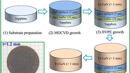 Resonant excitation cross-sections of erbium in freestanding GaN bulk ...