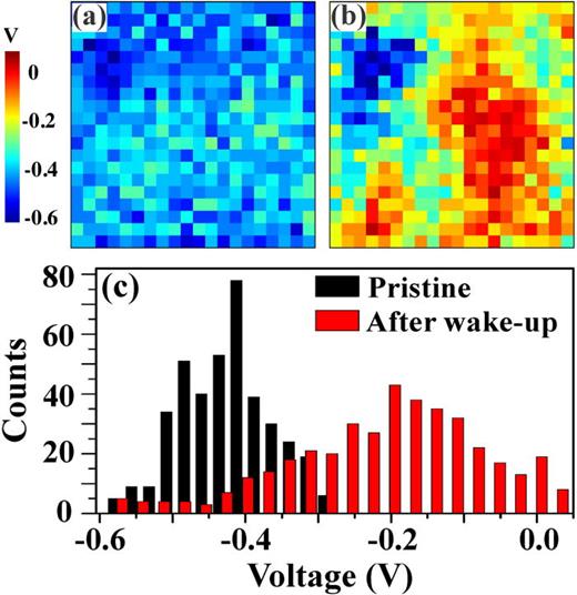 Nanoscopic studies of domain structure dynamics in ferroelectric La ...