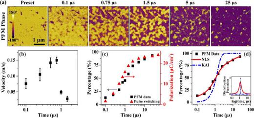 Nanoscopic studies of domain structure dynamics in ferroelectric La ...