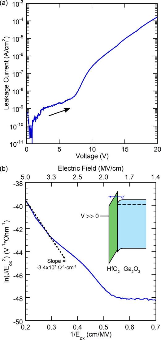 Electrical characterization of ALD HfO2 high-k dielectrics on (⁠2¯01) β ...