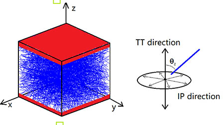 Ductile–brittle transition in transverse isotropic fibrous networks ...