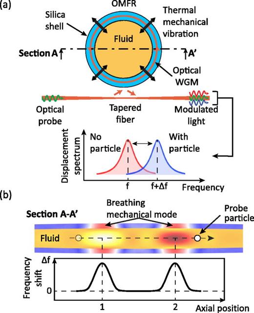 Imaging of acoustic pressure modes in opto-mechano-fluidic resonators ...