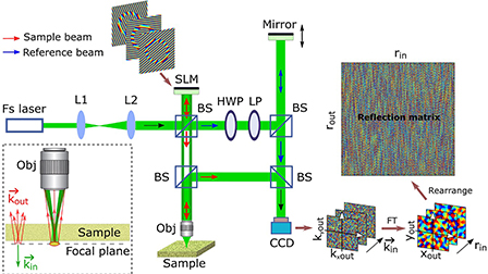 Deep imaging in highly scattering media by combining reflection matrix ...
