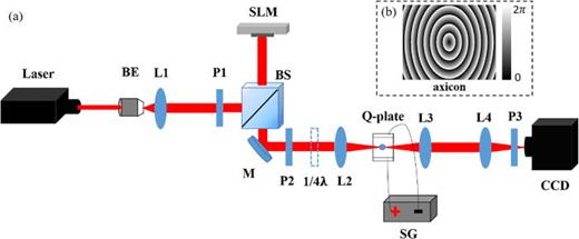 Generation of elliptic perfect optical vortex and elliptic perfect vector beam by modulating the ...