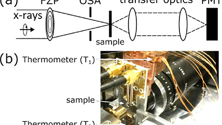 Observation of the out-of-plane magnetization in a mesoscopic ...