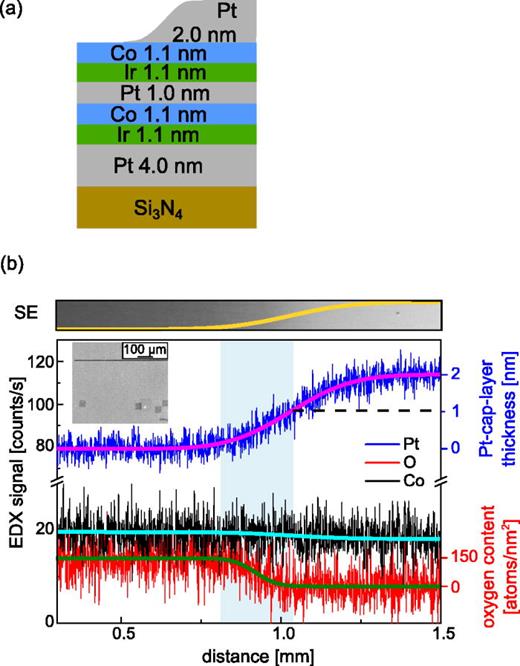 Cap-layer-dependent oxidation of ultrathin cobalt films and its effect ...