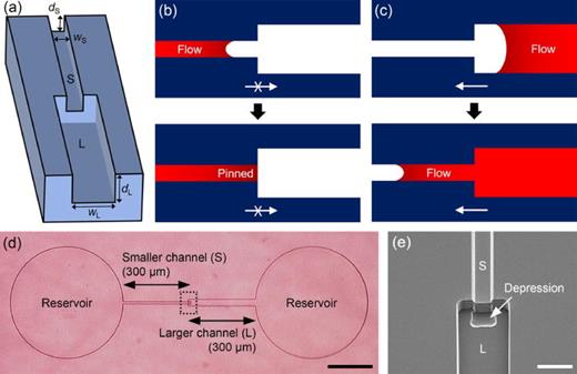 Open-channel microfluidic diodes based on two-tier junctions | Applied ...