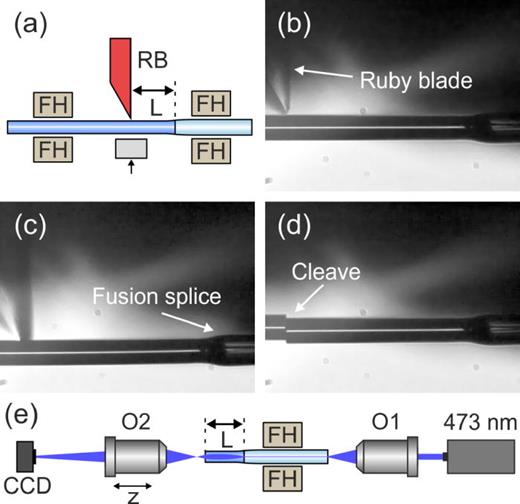 An ultraslim all-fiber microendoscope for depth-resolved imaging ...