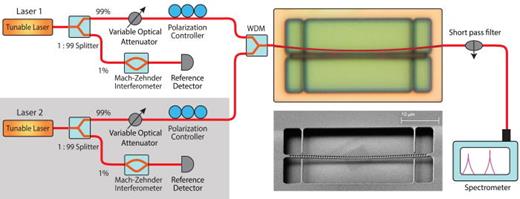Nonlinear frequency conversion in one dimensional lithium niobate ...