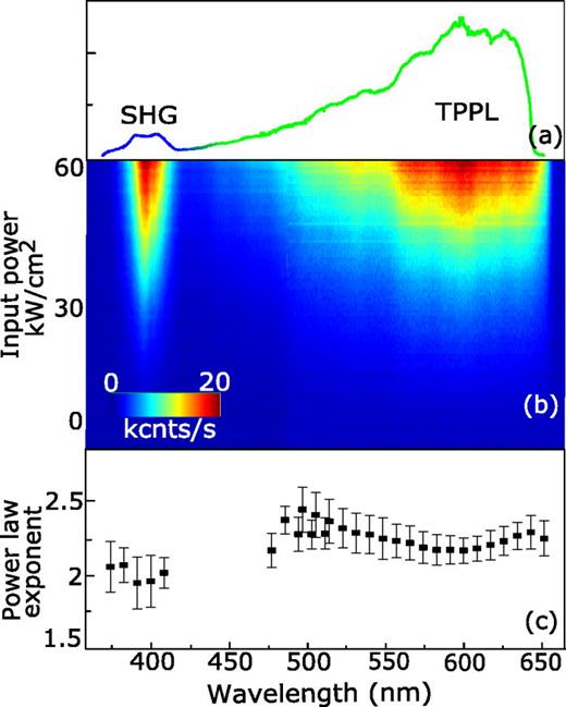 Phase control of plasmon enhanced two-photon photoluminescence in resonant gold nanoantennas ...