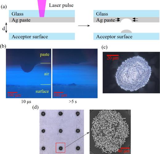 Laser-induced forward transfer from healing silver paste films ...