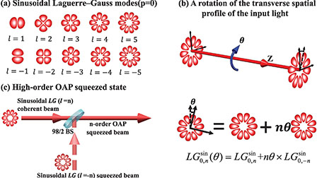 Squeezing-enhanced rotating-angle measurement beyond the quantum limit | Applied Physics Letters ...
