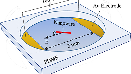 Universal rotation of nanowires in static uniform electric fields in ...