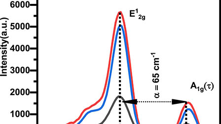 Extrinsic p-type doping of few layered WS2 films with niobium by pulsed ...