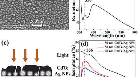 Enhanced surface optical phonon in CdTe thin film observed by Raman ...