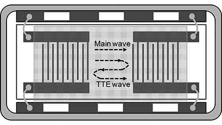 Increase in detection sensitivity of surface acoustic wave biosensor ...