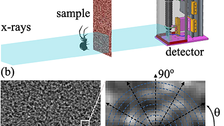 Single-shot X-ray dark-field imaging with omnidirectional sensitivity ...