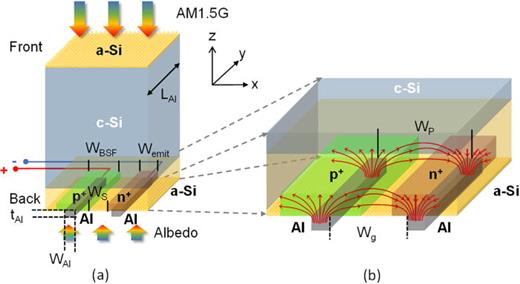 Tailoring interdigitated back contacts for high-performance bifacial ...