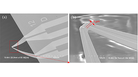 Impact of volatile organic compound exposure on electrical breakdown in ...