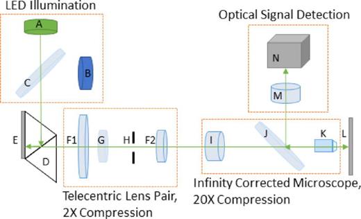 Two-wavelength thermoreflectance in steady-state thermal imaging ...