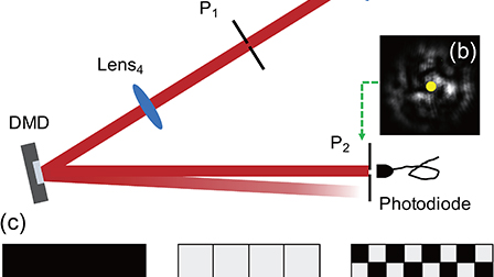Complex wavefront reconstruction with single-pixel detector | Applied ...