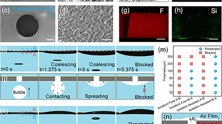Channel-controlled Janus membrane fabricated by simultaneous laser ...