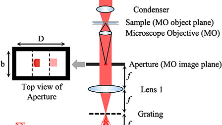 Common-path, single-shot phase-shifting digital holographic microscopy ...
