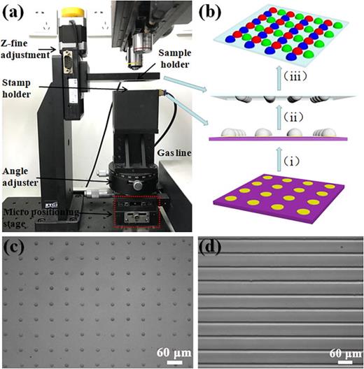 Multi-species micropatterning of organic materials by liquid droplet ...