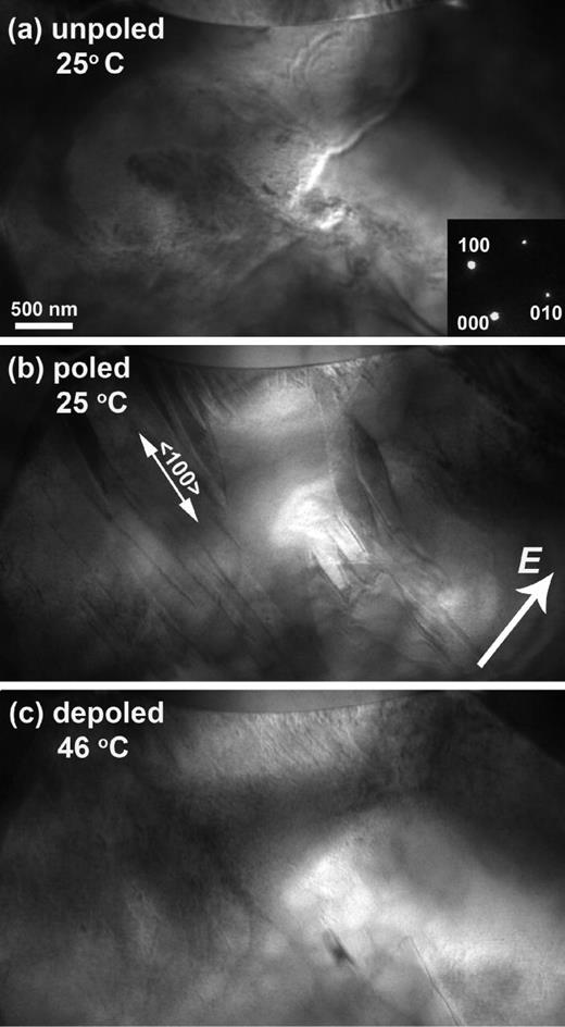 Dual-stimuli in-situ TEM study on the nonergodic/ergodic crossover in ...