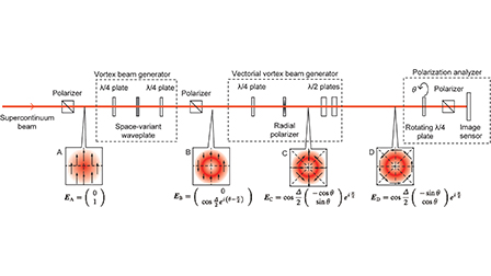Supercontinuum vector beam generation by independent manipulations of angular polarization and ...