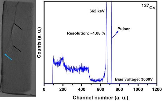 High-resolution virtual Frisch grid gamma-ray detectors based on as ...