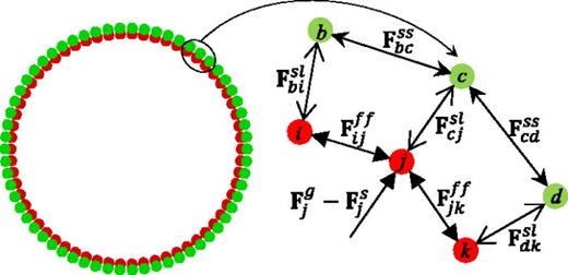 The stress-strain relationship of liquid marbles under compression ...