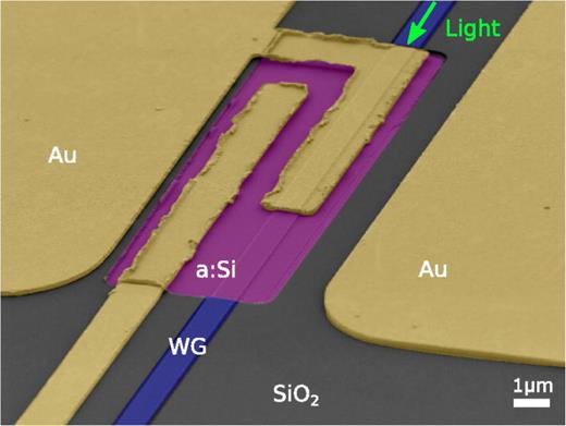 Silicon photodetector for integrated lithium niobate photonics ...
