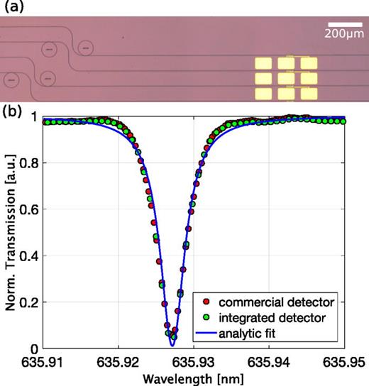 Silicon photodetector for integrated lithium niobate photonics ...