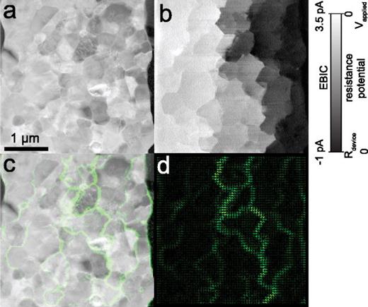 Scanning transmission electron microscope mapping of electronic ...
