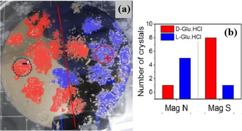 Chiral molecules-ferromagnetic interfaces, an approach towards spin ...
