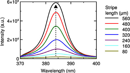 Determination of the saturation length and study of its effects in ...