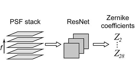 Accurate phase retrieval of complex 3D point spread functions with deep residual neural networks ...