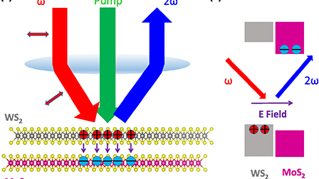 Nonlinear optical effect of interlayer charge transfer in a van der ...