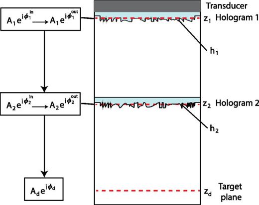Phase and amplitude modulation with acoustic holograms | Applied ...