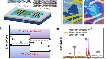 Multifunctional anti-ambipolar p-n junction based on MoTe2/MoS2 heterostructure | Applied ...