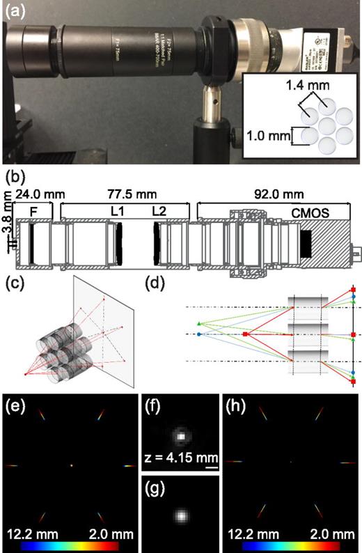 3D light-field endoscopic imaging using a GRIN lens array | Applied ...