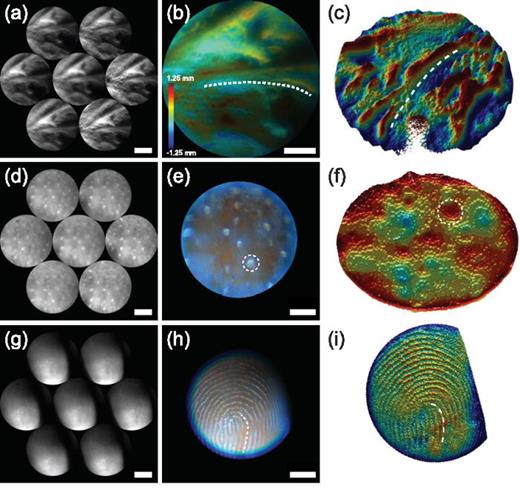 3D light-field endoscopic imaging using a GRIN lens array | Applied ...