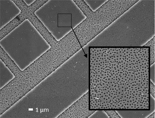 Growth of strain-relaxed InGaN on micrometer-sized patterned compliant ...