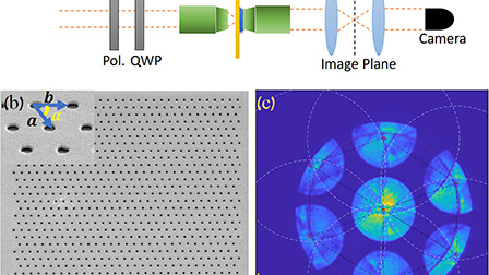 The role of plasmonic excitations in the optical activity of periodic ...